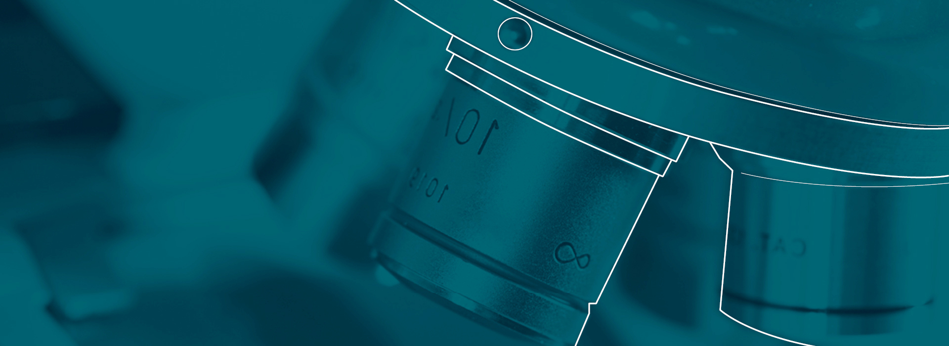 Sealing, Bearing & Polymer Solutions Products | Beldam Crossley